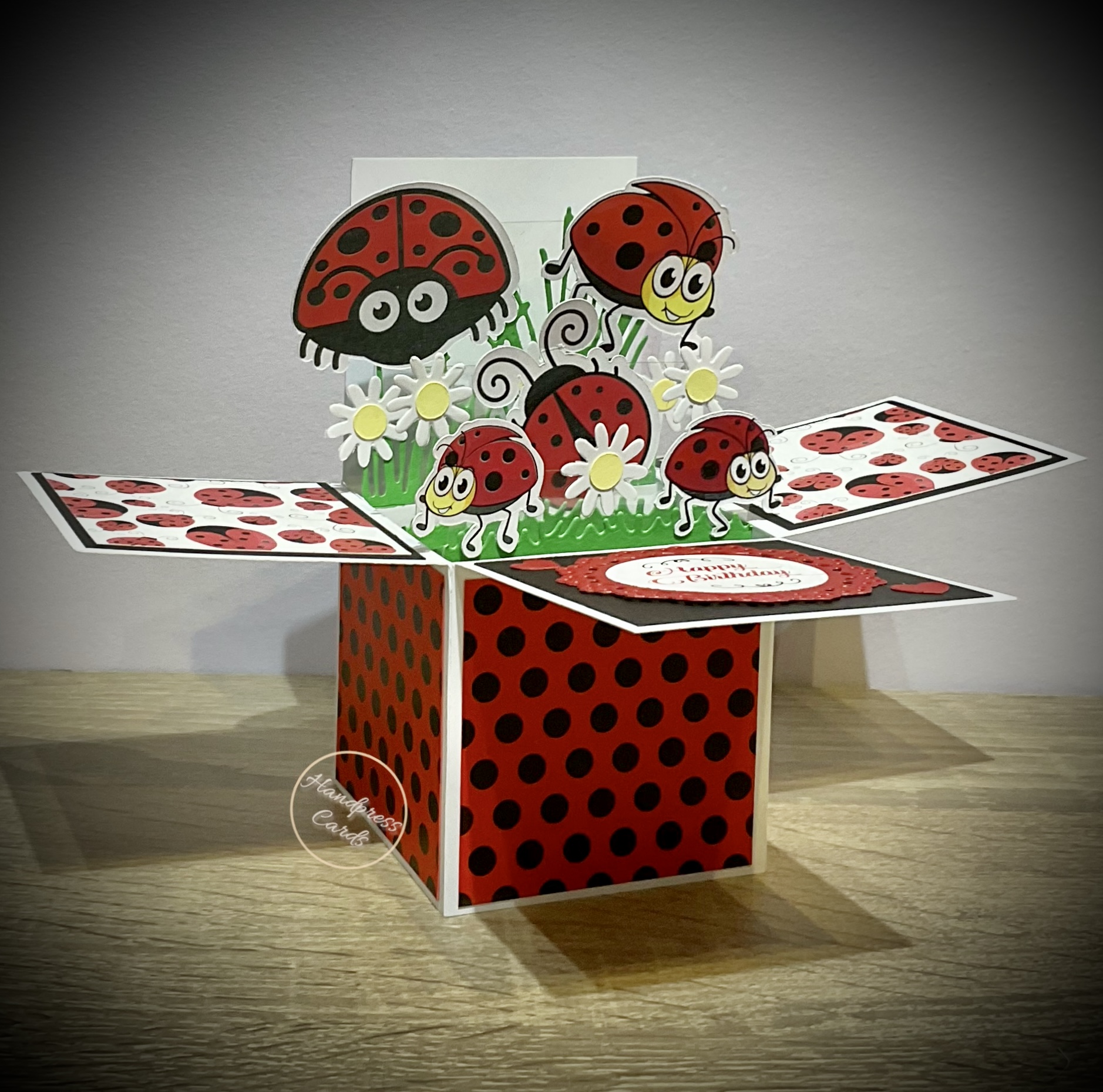 Ladybug Pop Up Box Card Handmade Personalised Greeting Cards For All Ladybug Pop Up Box Card Handmade Personalised Greeting Cards For All
